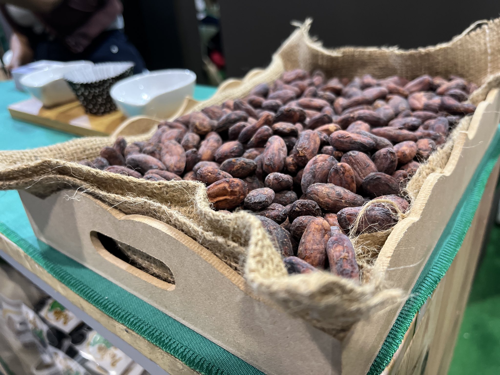 El chocolate salvadoreño destaca por su calidad en actividad ...