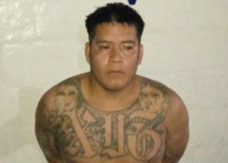 Capturan a peligroso pandillero en Cuscatlán – Diario La Página Capturan a peligroso pandillero en Cuscatlán – Diario La Página