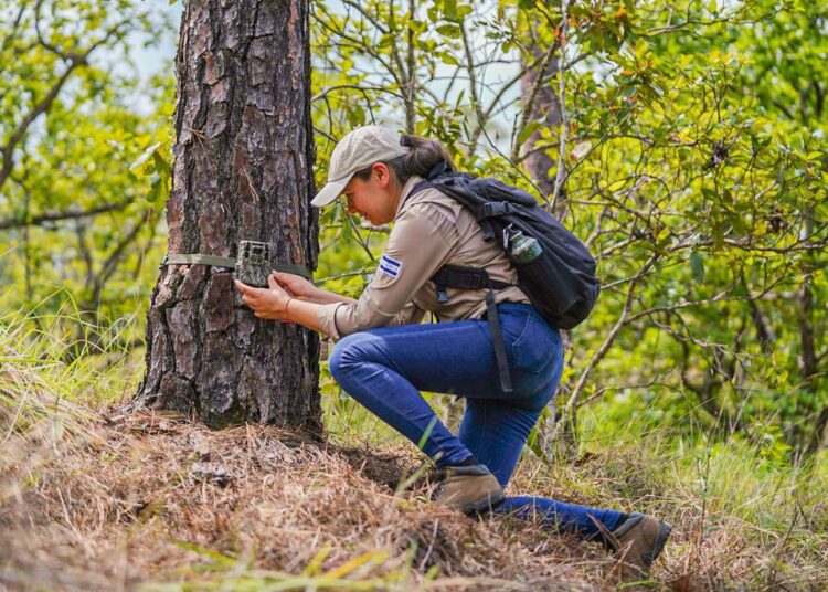 Medio Ambiente amplía red de monitoreo de fauna silvestre – Diario La ... Medio Ambiente amplía red de monitoreo de fauna silvestre – Diario La ...