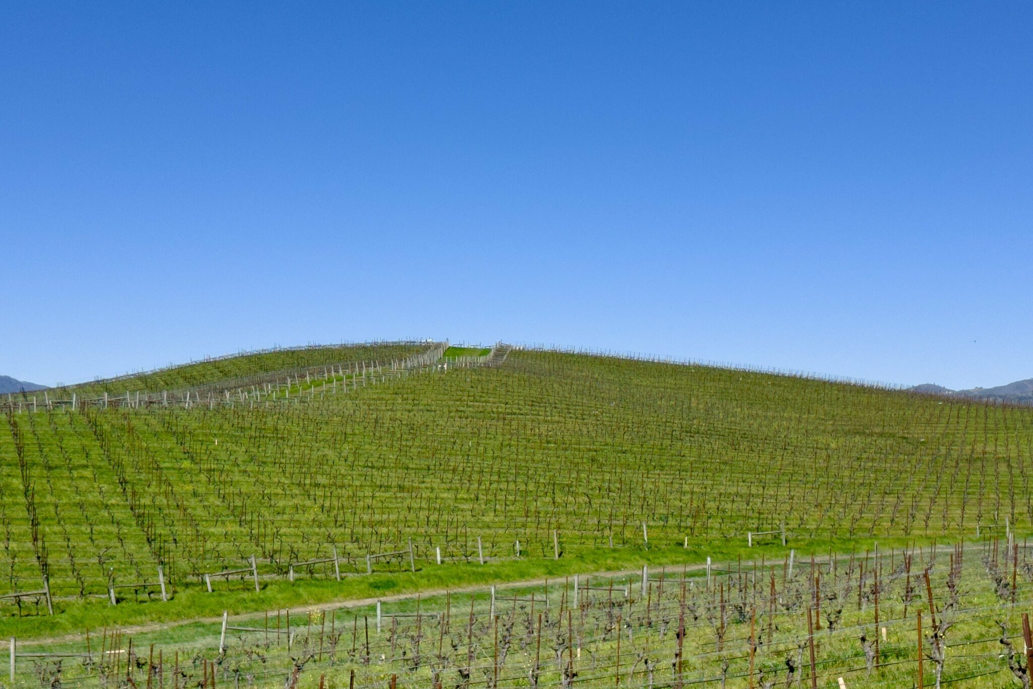 Este es el aspecto actual del icónico paisaje de Windows XP – Diario La ...